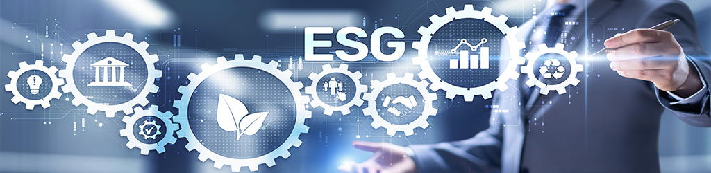 CohnReznick ESG Maturity Model: Strategy and Roadmap